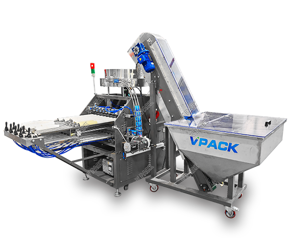 GLOBAL PACKAGING MANUFACTURER-Vpack China